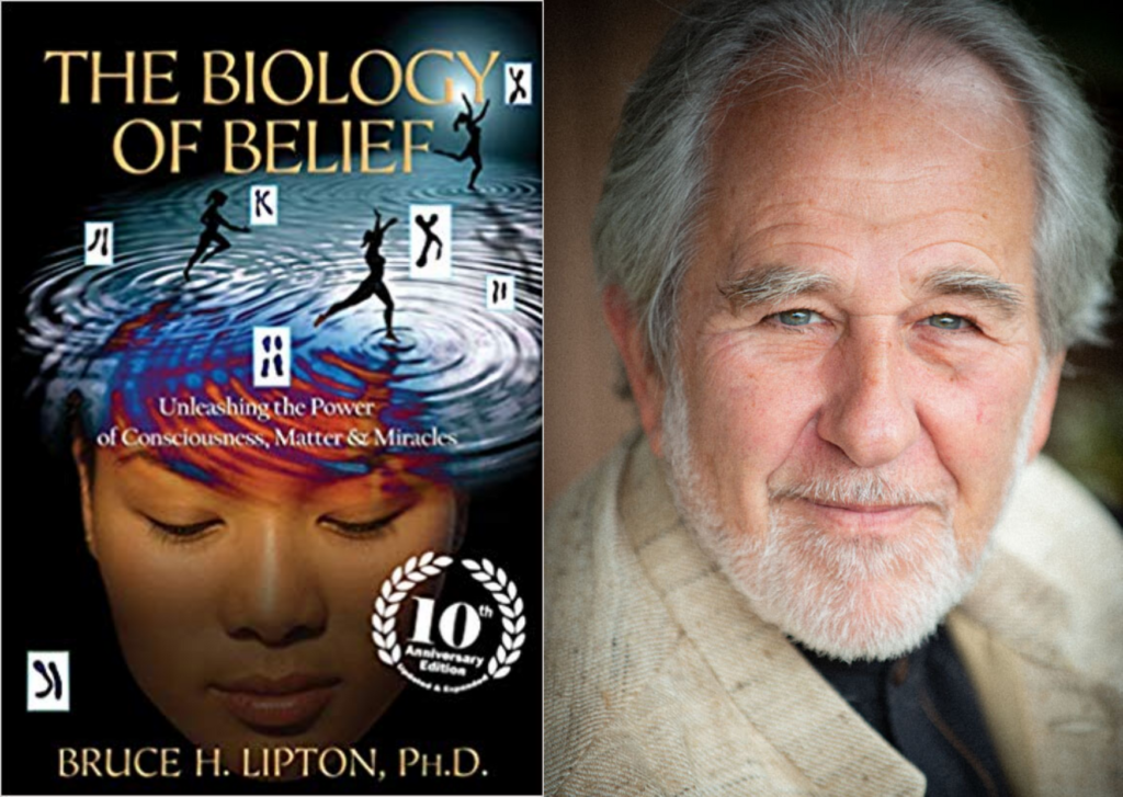 Quantasia Blog - The Biology of Belief by Bruce Lipton